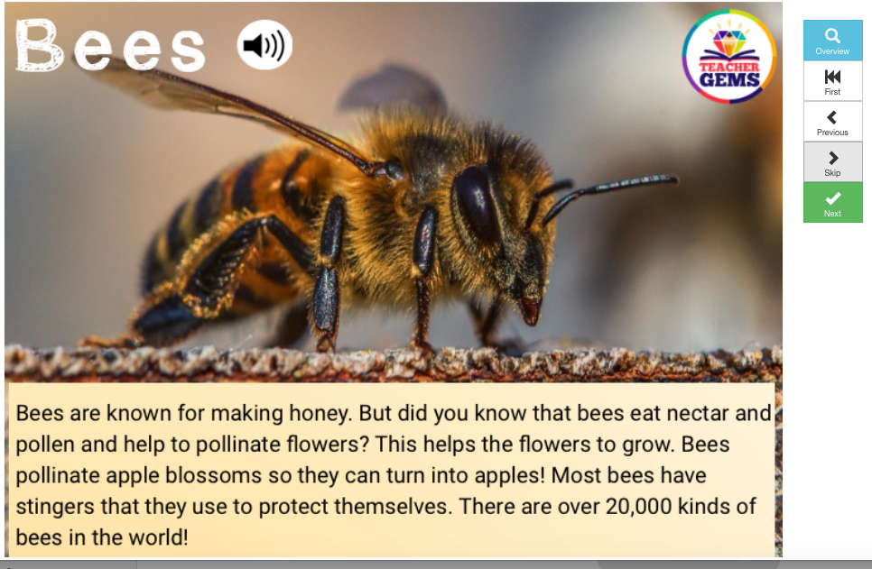 Insects Informational Passages Set 1 Boom Cards™ Distance Learning ...