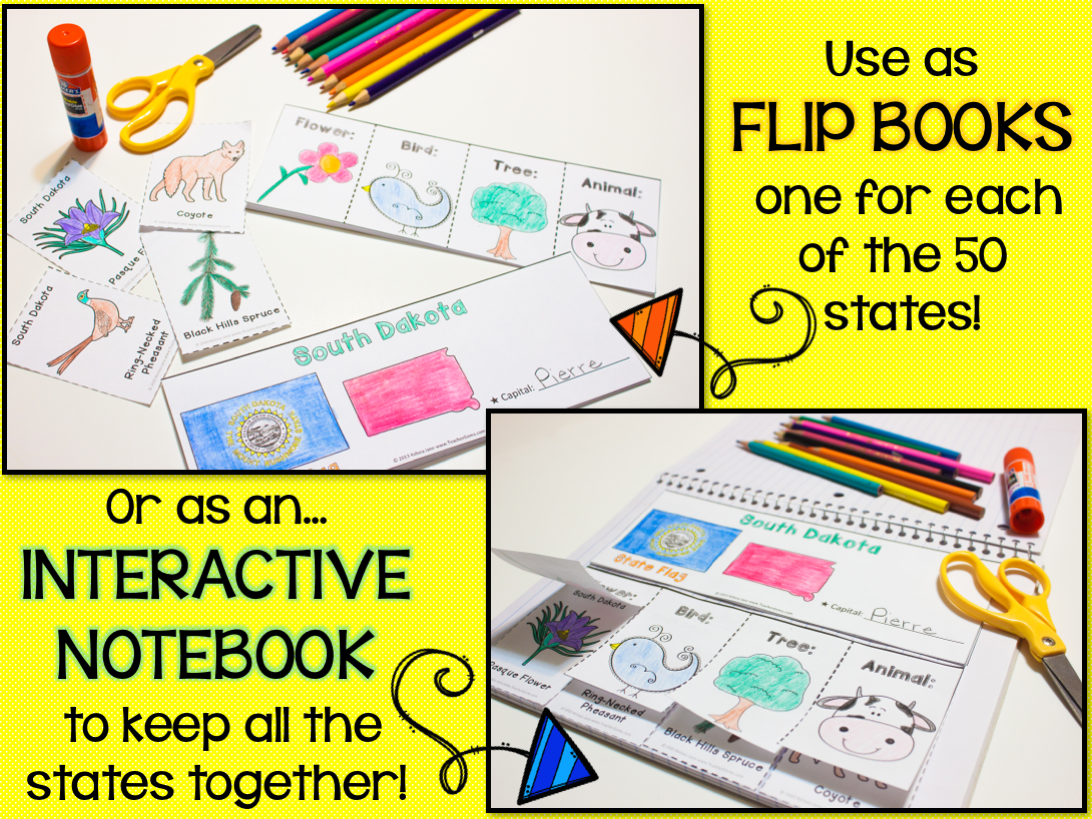 State Symbols Flip Book and Interactive Notebook – Teacher Gems